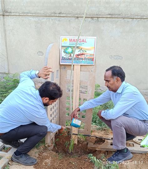 Kamta Prasad Tiwari On Linkedin Environment Happyenvironmentday