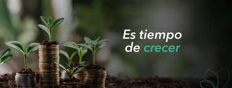 Finite Business Finite Business Solutions Llc