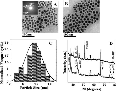 A Tem Pictures Of Cobalt Nanoparticles These Were Obtained When The