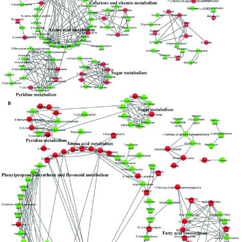 The Metabolite Metabolite Interaction Network Of Significantly Download Scientific Diagram