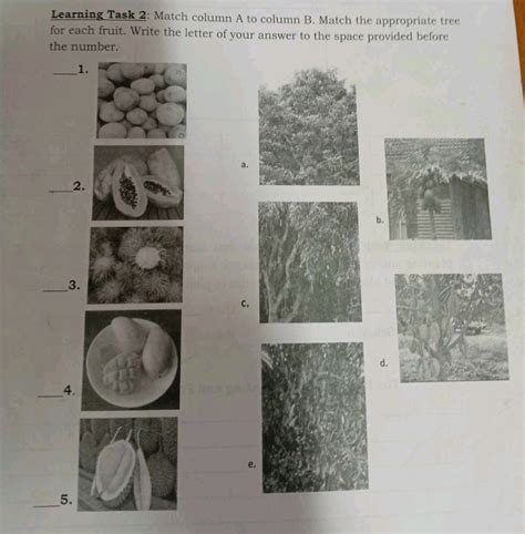 Learning Task 2 Match Column A To Column B StudyX