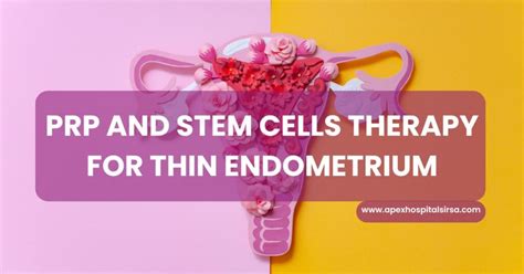 Prp And Stem Cells Therapy For Thin Endometrium