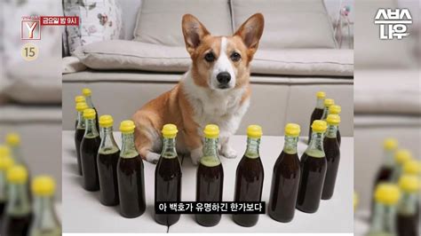 예고 인기스타 백호의 보호자 백호 누나가 의심스럽다 그녀가 감추고 있는 진실은 궁금한이야기 Ystory Sbsnow Youtube