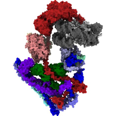 Pdb Ihm Validation Report