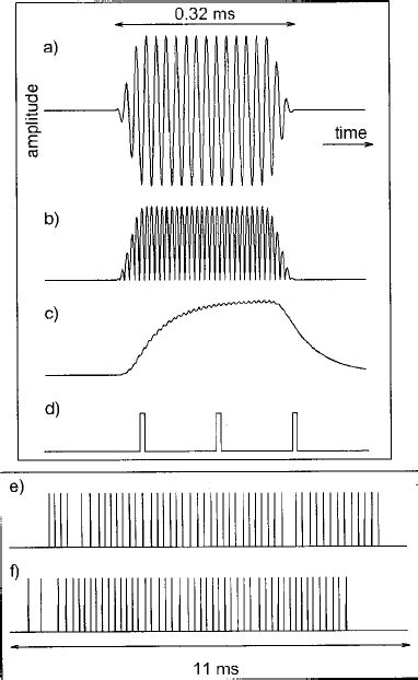 Echo Processing To Produce Pseudo Action Potentials ͑ Paps ͒ ͑ A ͒