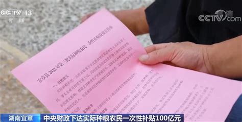 中央财政下达实际种粮农民一次性补贴100亿元 记者实地走访看效果新闻频道央视网
