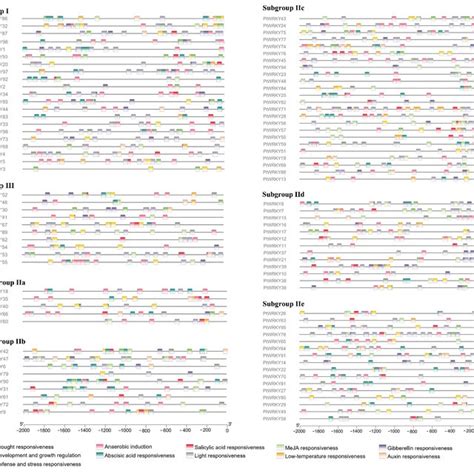 Cis Acting Elements In Ptwrkys Promoter Line Represents 2000bp Gene