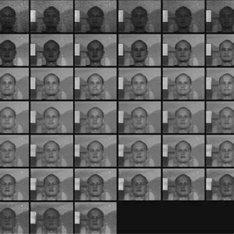 A Hyperspectral Face Data Cube Taken From The Polyu Hsfd Dataset Download Scientific Diagram