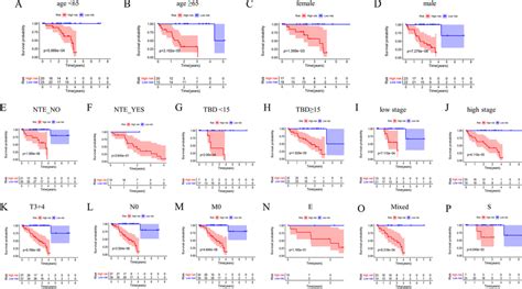 Stratification Survival Analysis In The Tcga Uvm Dataset K M Survival