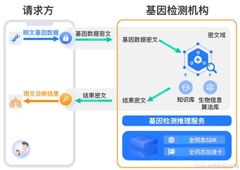 【隐私计算篇】全同态加密应用场景案例（隐私云计算中的大模型推理、生物识别等） 同态加密训练大模型 csdn博客