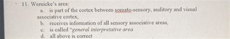 Solved A 11 Wernicke S Area A Is Part Of The Cortex Chegg Com