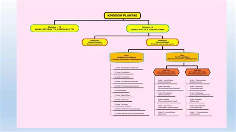 Systems Of Plant Classification Pptx