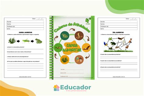 15 Atividades sobre Cadeia Alimentar para 4º ano Educador