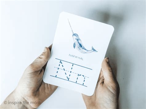 Objects That Start With N Alphabet Items A Z