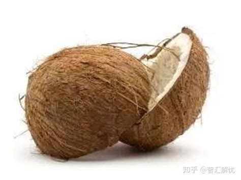 只需一根筷子就能喝到椰子汁喝完还能吃椰肉试过都说好 知乎