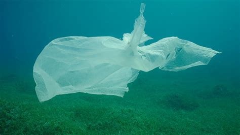 해초 초원 위의 물기둥에 떠다니는 오래된 비닐 봉지 푸른 깊이에 떠 있는 비닐 봉지 환경 오염 바다 홍해 Safaga 이집트의 플라스틱 오염 가방에 대한 스톡 사진 및 기타