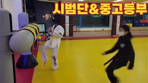 경희대 백호 태권도 수련일기 시범단and중고등부 Youtube