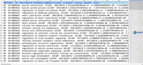 TMB与免疫细胞浸润联合分析GO富集分析与KEGG的富 生信自学网