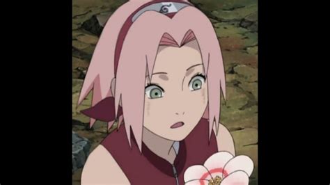 Luv Resval Sakura Youtube