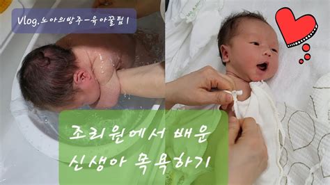 Vlog 육아꿀팁 1 조리원에서 배운 신생아 목욕하기🛁 Youtube