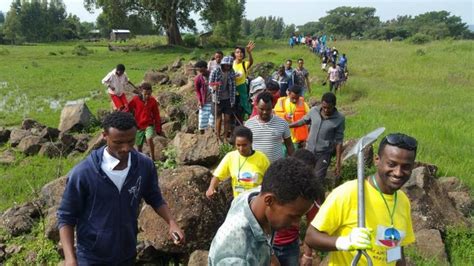 የወጣቶች ዘመቻ በእምቦጭ አረም ላይ Bbc News አማርኛ