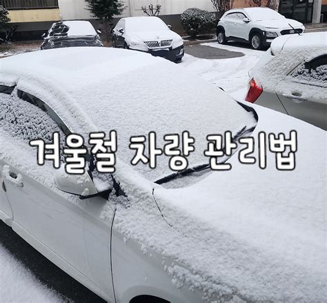 🚗 겨울철 차량관리 꿀팁 안전한 겨울 운전을 위한 필수 점검 사항 ️