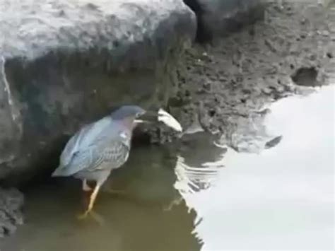 Ashfaque Shaikh Posted On Linkedin