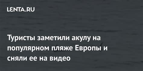 Туристы заметили акулу на популярном пляже Европы и сняли ее на видео