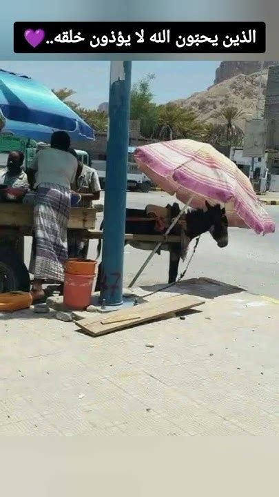 الذين يحبّون الله لا يؤذون خلقه 💜 Youtube