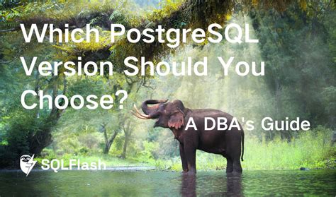 Which Postgresql Version Should You Choose A Dbas Guide Sqlflash