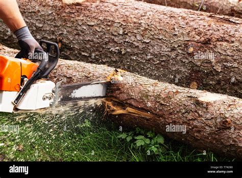 Chainsaw Man Wood Hi Res Stock Photography And Images Alamy