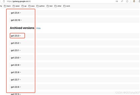 Linux 系统上配置 Go 环境linux配置go环境 Csdn博客