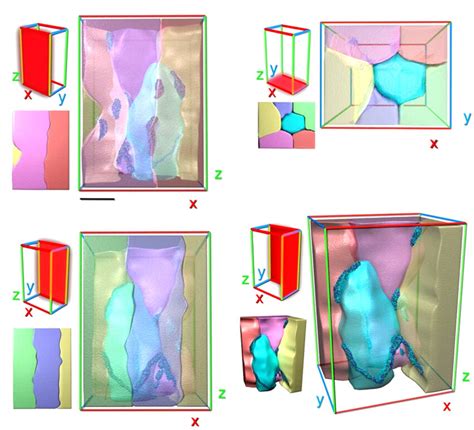 Tomographic View Of Nanostructural Architecture In Hpt 7075 Alloy