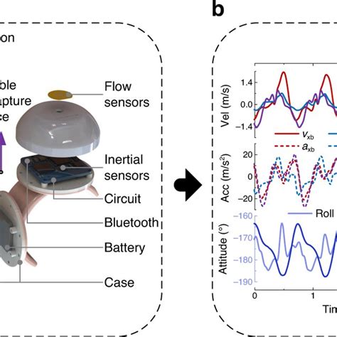 Pdf A Wearable Motion Capture Device Able To Detect Dynamic Motion Of Human Limbs