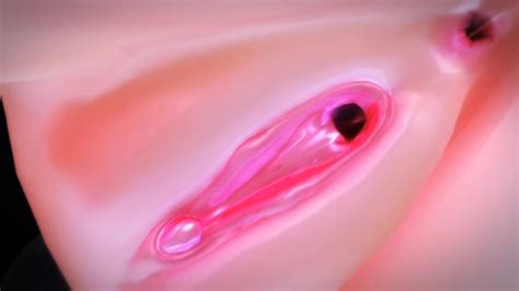 Zoom Into The Pussy 2