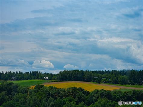 夏の北海道らしい景色 by 横浜のしょうちゃん ID12519353 写真共有サイト PHOTOHITO