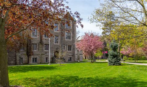 A New Home To Tell Mcmasters Stories Mcmaster News