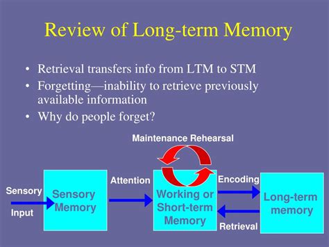 Ppt Review Of Long Term Memory Powerpoint Presentation Free Download Ppt Review Of Long Term Memory Powerpoint Presentation Free Download