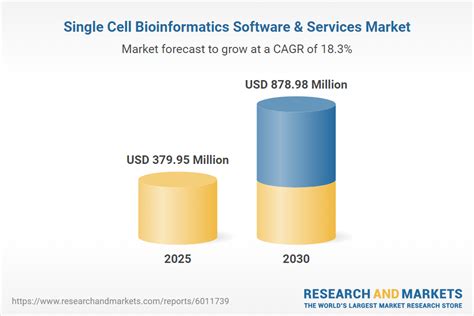 Single Cell Bioinformatics Software And Services Market Global Forecast 2025 2030