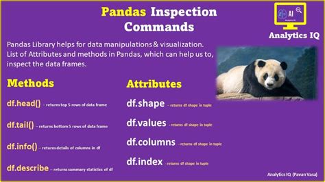 Learn About Pandas Inspection Commands 파반바사 Posted On The Topic Linkedin