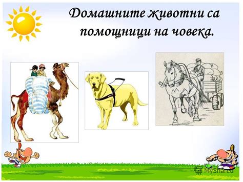 Презентация на тему Домашни животни Роден край първи клас Какви са животните на картинките