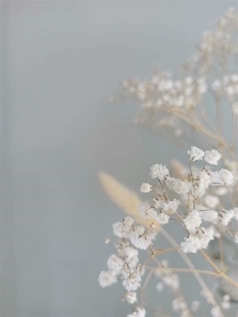 Пин от пользователя Dianochka Diashka на доске Instagram Пастельные фотографии Цветочные фоны