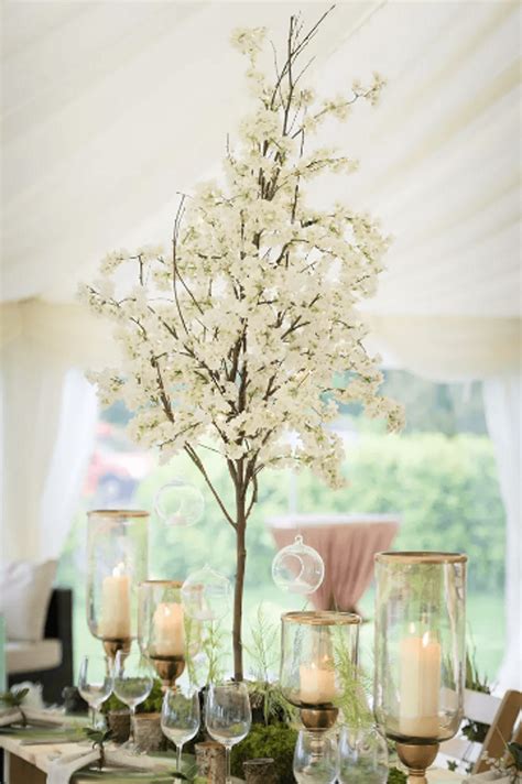 What Types Of Trees Are Used For Wedding Centerpieces Nuptio