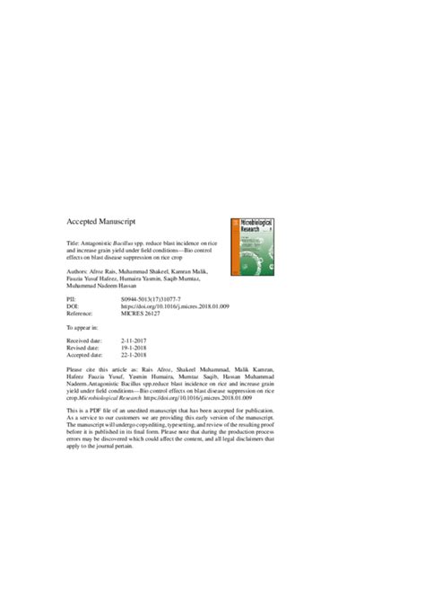 Pdf Antagonistic Bacillus Spp Reduce Blast Incidence On Rice And Increase Grain Yield Under