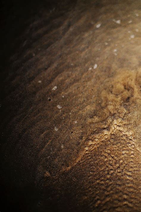 Governance And The Voluminous Commons Seminar 1 Joanne Yao May 23 2023 Online Event