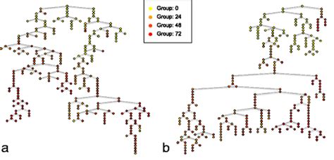 CellTree An R Bioconductor Package To Infer The Hierarchical Structure Of Cell Populations