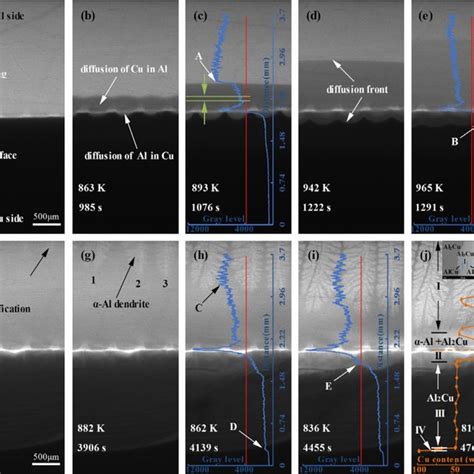 computerized three dimensional reconstruction of al cu alloy dendrite