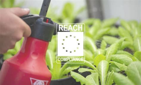 Reachclp Atlantica