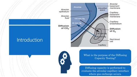 Diffusing Capacity Tests Pptx
