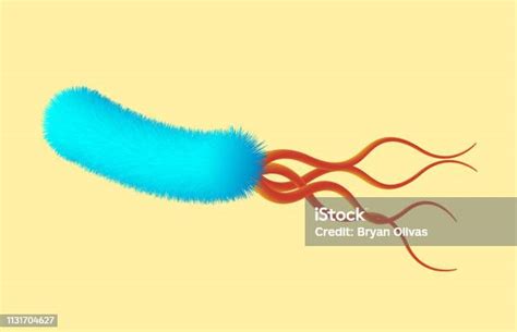 헬리코박터 염 3d 블루와 흐린 노란색 배경으로 저하 오렌지 박테리아에 대한 스톡 벡터 아트 및 기타 이미지 박테리아 위 3차원 형태 Istock